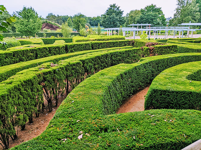 Getting lost has never looked so appealing. This hedge maze invites you to wander aimlessly without the panic of being late for dinner.