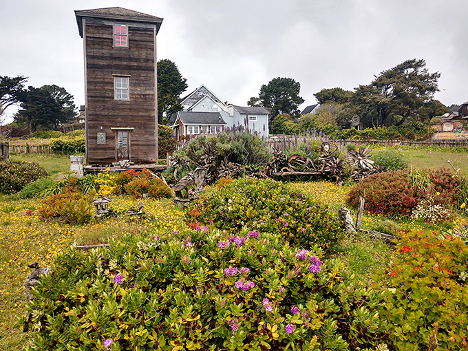This weathered water tower stands as Mendocino's unofficial mascot, surrounded by wildflowers that seem to be throwing it a perpetual celebration.