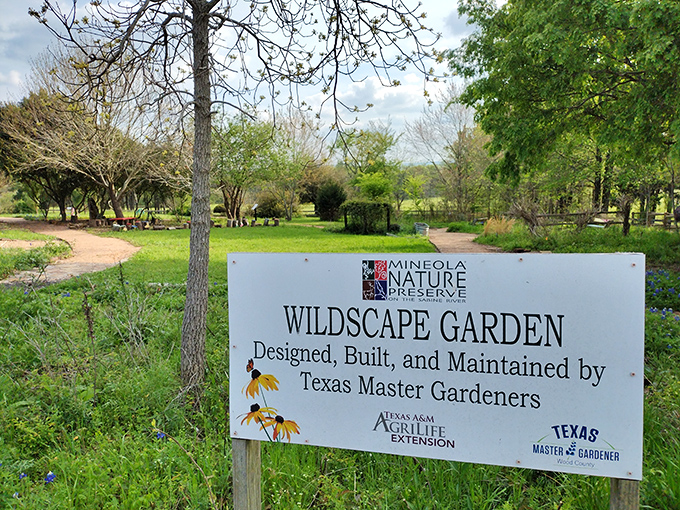 The Wildscape Garden at Mineola Nature Preserve offers a glimpse into Texas' natural beauty, meticulously maintained by green-thumbed Master Gardeners who know their native plants.