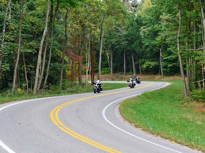 Two-wheeled freedom seekers have discovered the secret: these curves were designed for joy, not just transportation.