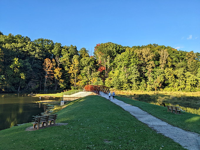 Mount Gilead State Park offers that perfect blend of serenity and accessibility, where nature's beauty doesn't require a three-hour hike to appreciate.