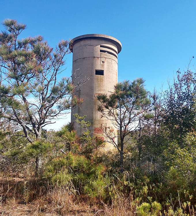 Standing tall since WWII, this concrete sentinel once watched for enemy ships. Now it just enjoys the best ocean view in Delaware without paying beachfront property taxes.