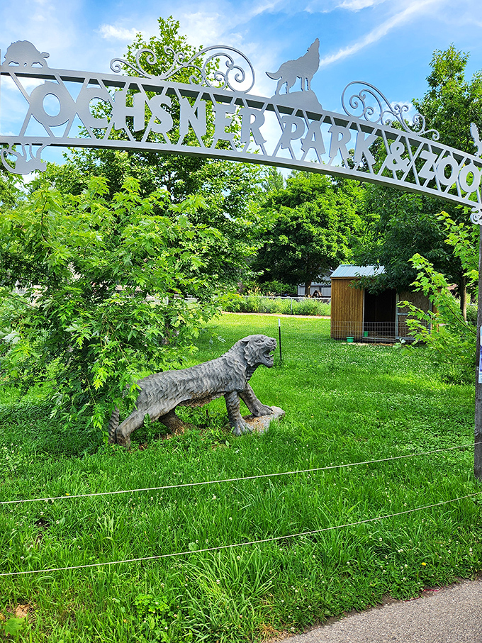 The Ochsner Park Zoo entrance welcomes visitors with whimsical animal silhouettes, proving that small-town attractions can deliver big-time charm without the big-city price tag.
