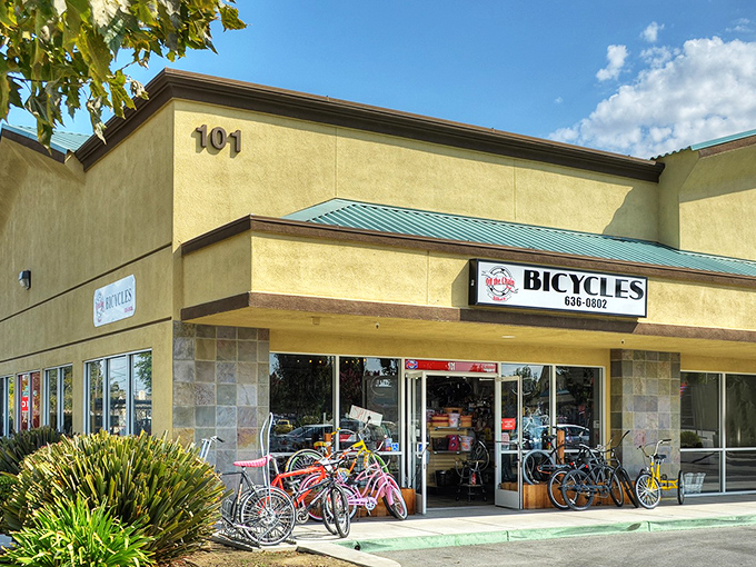This isn't just a bike shop &ndash; it's command central for two-wheeled adventures through Hollister's scenic countryside. Weekend warriors, your chariot awaits!