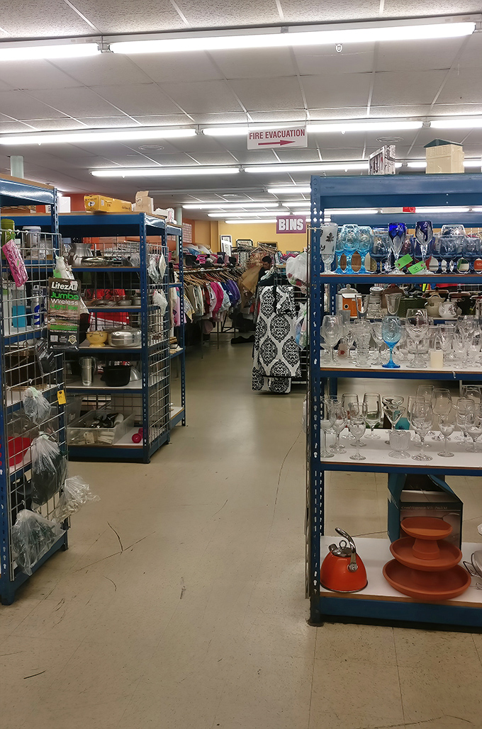 Glassware heaven! Like a museum where you can actually take the exhibits home, these shelves hold stories in every crystal goblet.