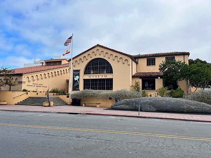 The Pacific Grove Museum of Natural History&mdash;where science meets charm and the stuffed birds somehow look less judgmental than elsewhere.