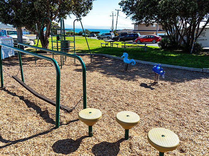 Even the playground has ocean views in Cayucos, where kids build memories with the soundtrack of waves crashing nearby.