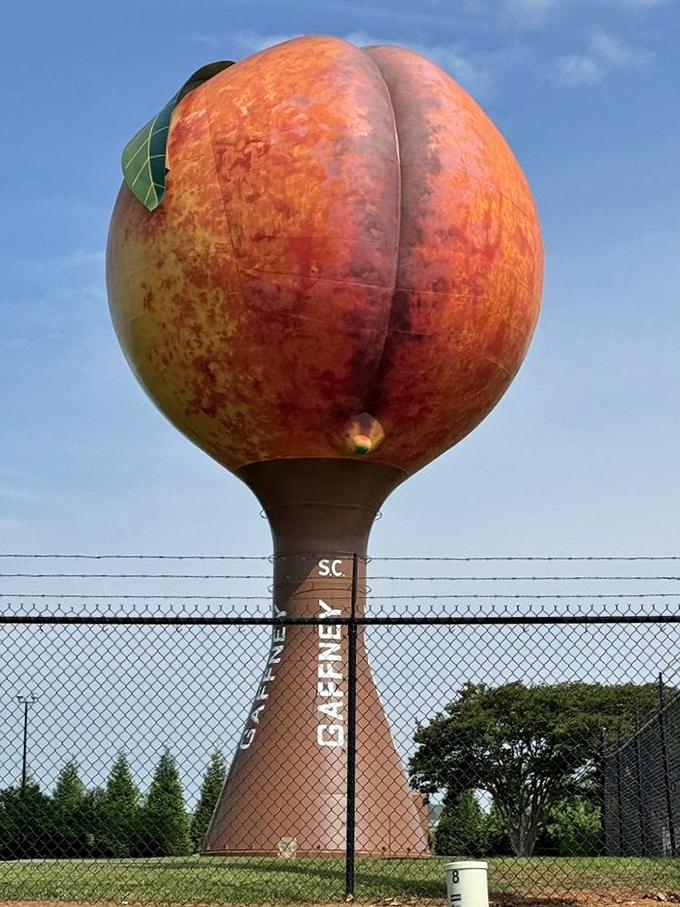 The Peachoid's famous curves have sparked more roadside conversations than any water tower has a right to. Georgia, eat your heart out!