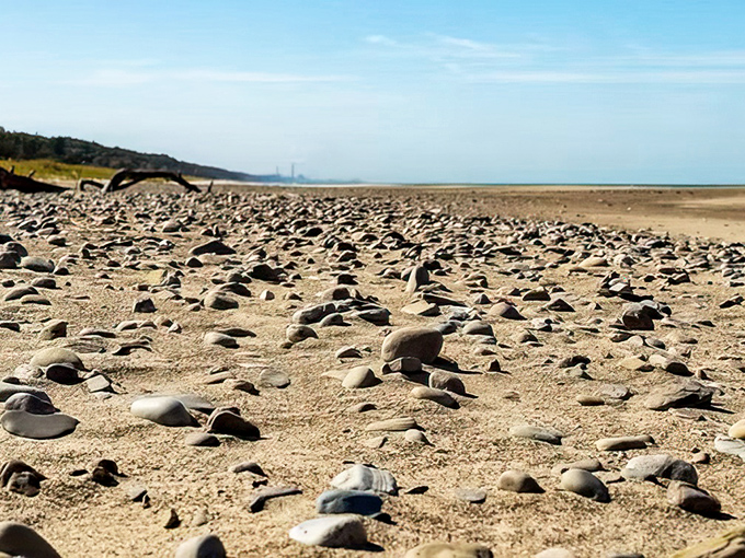 Nature's marble collection scattered across the shore&mdash;each stone tells a story of Lake Michigan's patient craftsmanship.