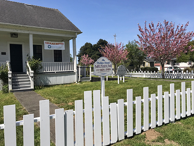 The Phillips House Museum whispers stories of yesteryear through its white picket fence. Cherry blossoms add a touch of pink to history's palette.
