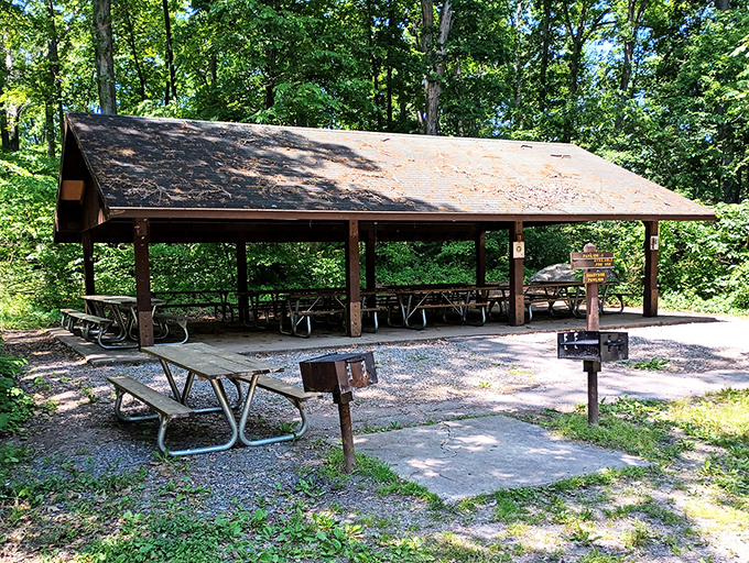 This rustic picnic pavilion has witnessed more family reunions and birthday celebrations than a lifetime of Facebook memories.