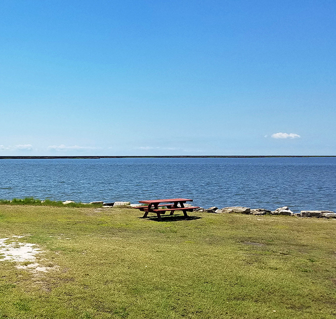 Sometimes the best luxury is simplicity&mdash;a lone picnic table by the Chesapeake Bay offers dining ambiance that five-star restaurants spend fortunes trying to replicate.