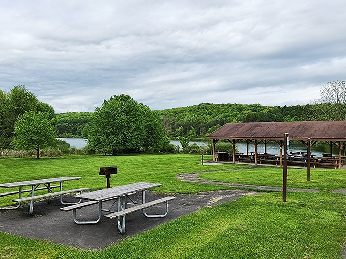 Picnic tables with million-dollar views. The real estate agents would call this "lakefront dining with unlimited forest ambiance."