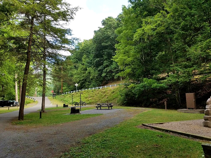 Picnic tables waiting for your sandwich artistry. The perfect spot to enjoy lunch while debating whether that cloud looks more like Elvis or a potato. 