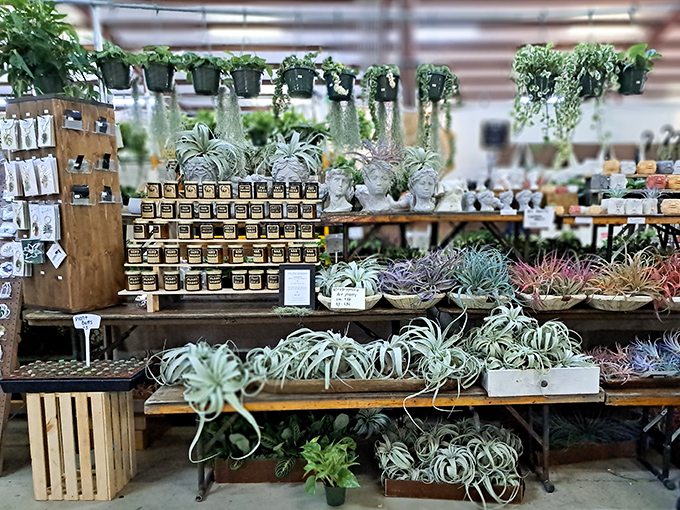 This botanical paradise offers everything from trendy air plants to hardy succulents. Your houseplant collection is about to multiply exponentially.