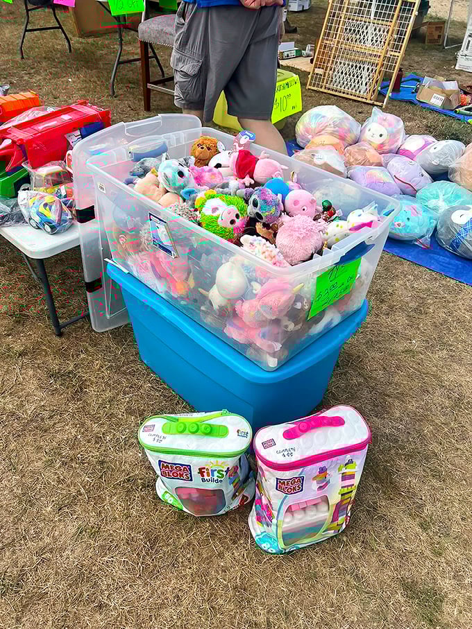 Plush paradise! These colorful critters are just waiting to be adopted into new homes where they'll inevitably be loved, forgotten, then rediscovered during college move-out day.