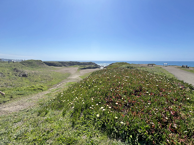 Pomo Bluffs delivers million-dollar views at precisely zero dollars – the best deal since TV was free.