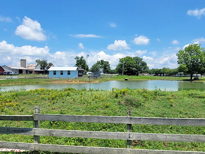 Pastoral perfection with a splash of blue&mdash;this serene pond reflects the simple beauty of Amish country living where Instagram filters are completely unnecessary.