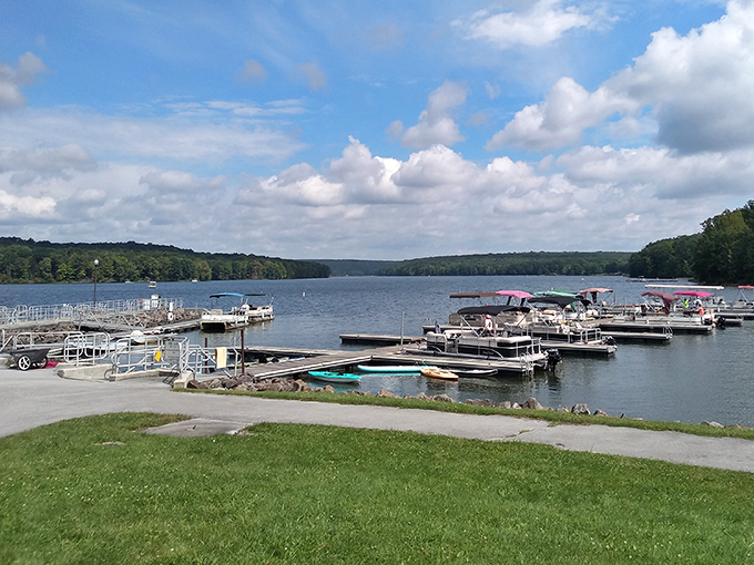 The marina at Prince Gallitzin offers a front-row seat to adventure, where pontoons and fishing boats await their next captain.