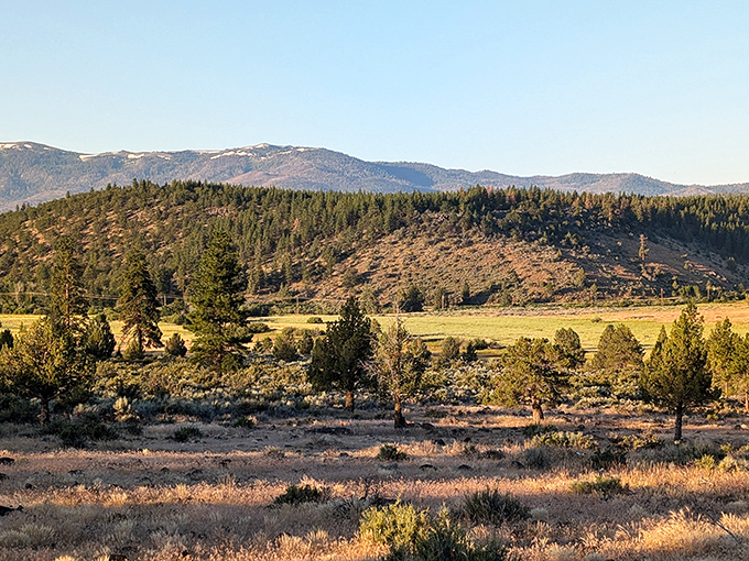 Where retirement dreams meet mountain vistas. Susanville's natural landscape offers the kind of million-dollar views that elsewhere would actually cost a million dollars.