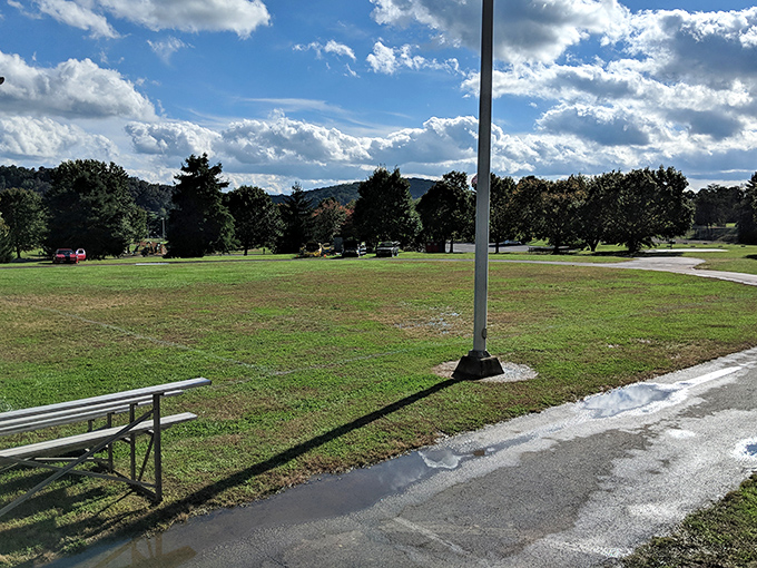 Beyond the historic buildings lies Rogersville's natural beauty, where rolling hills and open spaces remind you that some of Tennessee's best views don't require admission tickets.
