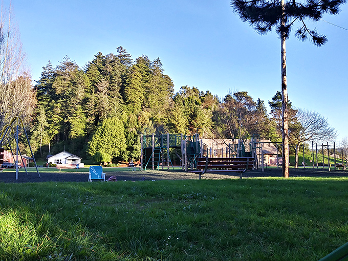 Rohner Park's playground and green spaces offer proof that public parks can exist without admission fees or parking meters.