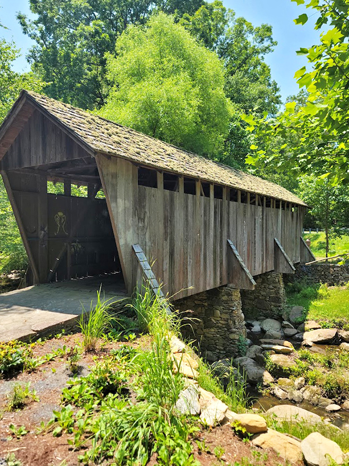 Nature has perfectly framed this rustic gem, creating a postcard-worthy scene that never gets old. 