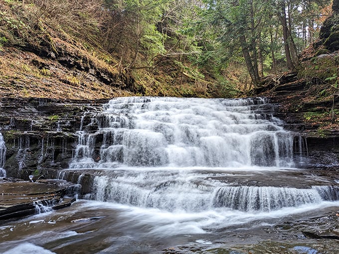 Nature's staircase cascades through Pennsylvania wilderness, offering the kind of serenity money can't buy.