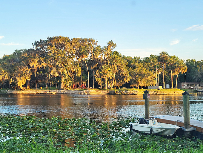 Golden hour transforms the shoreline into something from a fantasy novel&mdash;minus the dragons, but possibly with alligators.
