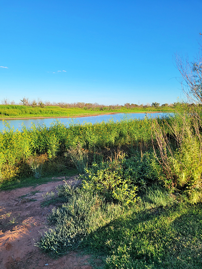 Nature thrives at Abilene's waterways, where the Texas sky reflects in peaceful waters and native plants create a serene escape from city life.