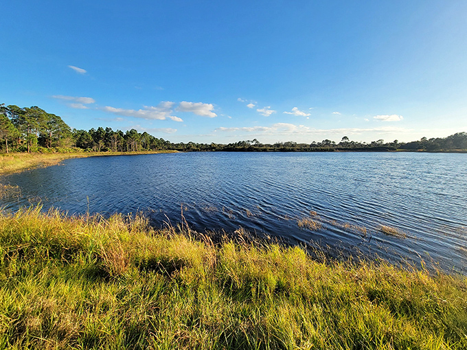 Nature's own infinity pool, Sebastian's Storm Water Park blends practical water management with breathtaking beauty &ndash; proving even drainage can be downright gorgeous.