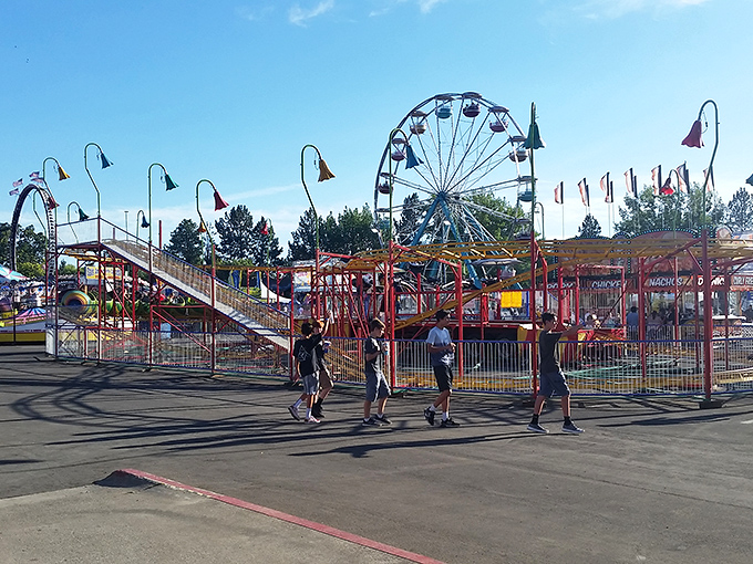 The Siskiyou Golden Fair brings carnival magic to Yreka each summer, where retirement budgets stretch further than the Ferris wheel views.