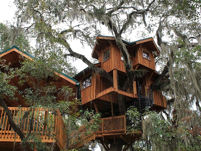 Who needs a penthouse when you can have a treehouse? This rustic wooden retreat near Live Oak proves that sometimes the best views come with bark and branches.
