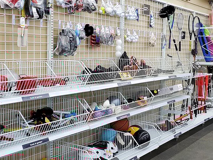 Sporting goods galore! Basketballs, tennis rackets, and forgotten exercise equipment&mdash;all waiting for their comeback story to begin.