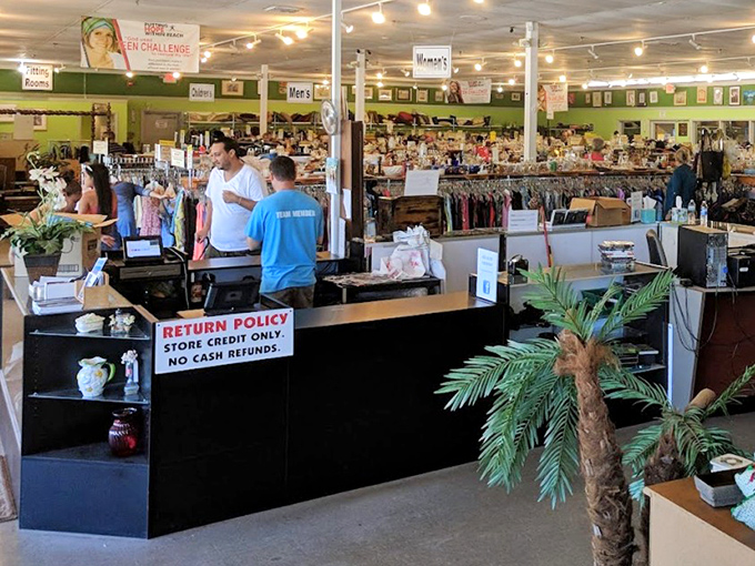 The checkout counter buzzes with activity as shoppers complete their bargain quests. That potted palm has witnessed thousands of "You'll never believe what I found!" moments.