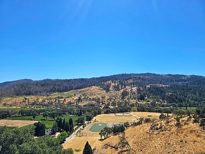 Rolling hills cradle vineyards and farmland in a landscape that would make Bacchus himself weep with joy. Calistoga's surroundings are pure California poetry.