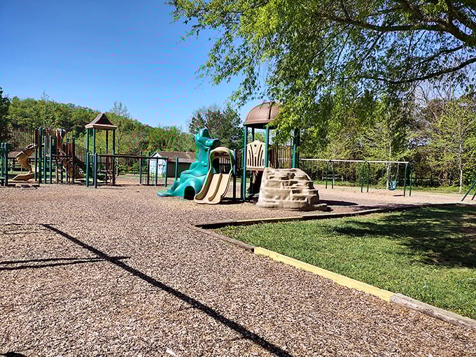 The town park's playground equipment stands ready for the next generation of Strasburg residents. Childhood memories in the making, minus the iPad charging stations.