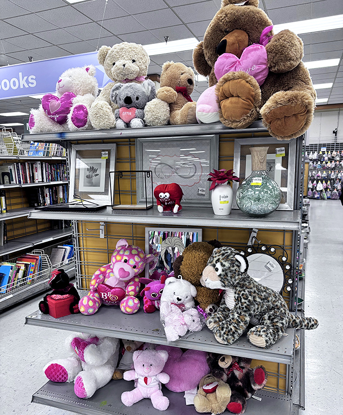 A plush paradise awaits! These gently-loved teddy bears are ready for second chances and new cuddles in their forever homes.