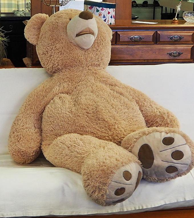 This teddy bear has seen more hugs than a grandmother at Thanksgiving dinner.