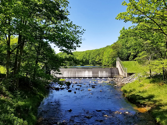 This isn't just a dam&mdash;it's nature's perfect balance of engineering and artistry, where rushing water meets peaceful forest. 