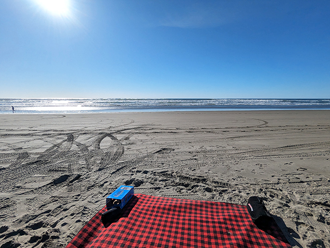 The ultimate beach picnic spot doesn't exi&mdash; Oh wait, it does! Red plaid blanket, cool blue cooler, and endless ocean views.