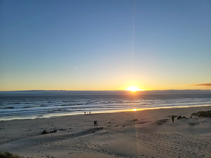 The daily sunset show at Nehalem Bay outperforms any streaming service. No subscription required, just the willingness to pause and appreciate.