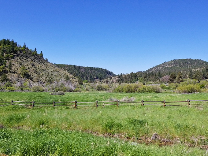 Rolling hills embrace verdant meadows outside town, where fence posts stand sentinel over landscapes that would make John Muir weep with joy.