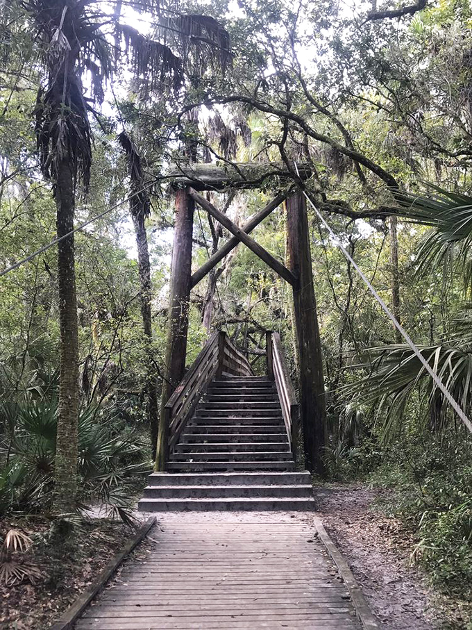 These wooden stairs don't just lead upward&mdash;they're a stairway to Florida heaven, complete with Spanish moss curtains and palm tree pillars.