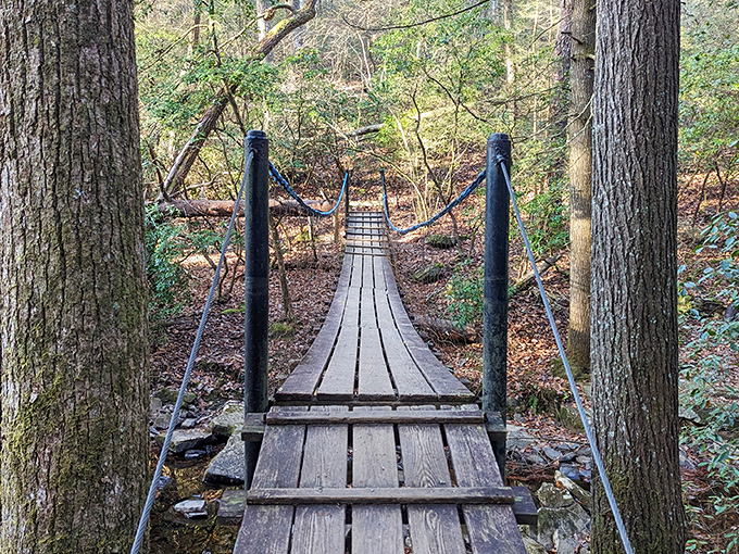 Crossing this rustic suspension bridge feels like stepping into an adventure novel. Each wooden plank tells a story of explorers who came before you.