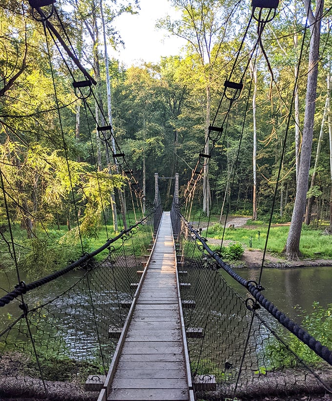 Indiana Jones would approve of this suspension footbridge&mdash;a perfect blend of adventure and accessibility spanning the Clear Fork River.