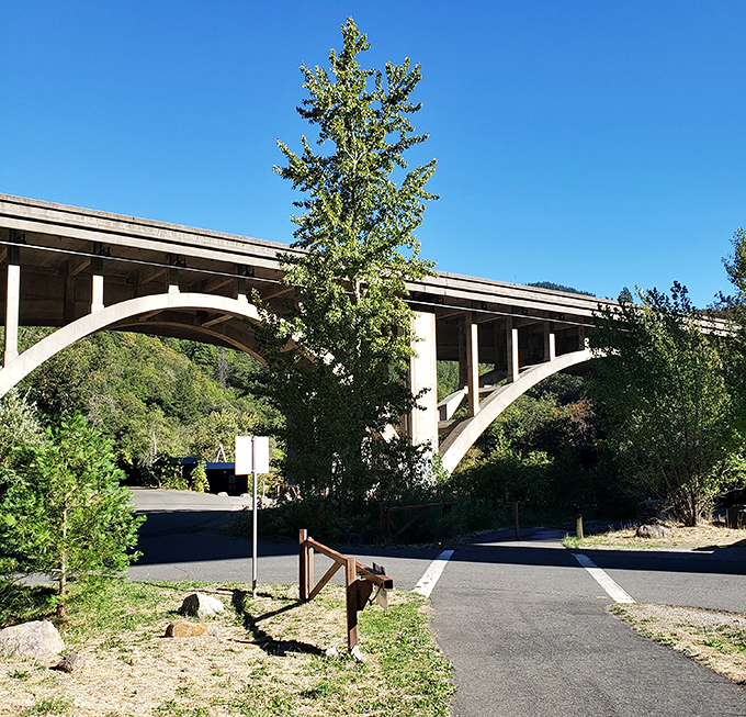 This elegant bridge spans more than just the Sacramento River&mdash;it connects modern California to a pace of life we all secretly miss.