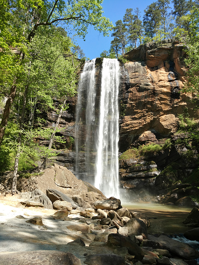 Toccoa Falls plunges 186 feet in a spectacular display of nature's power. This breathtaking cascade makes Niagara look like it's trying too hard to impress.
