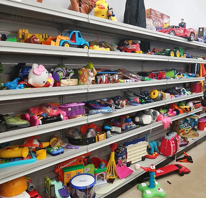 
Toy paradise or plastic purgatory? Either way, this colorful chaos of childhood memories is where nostalgia and affordability have a beautiful reunion.