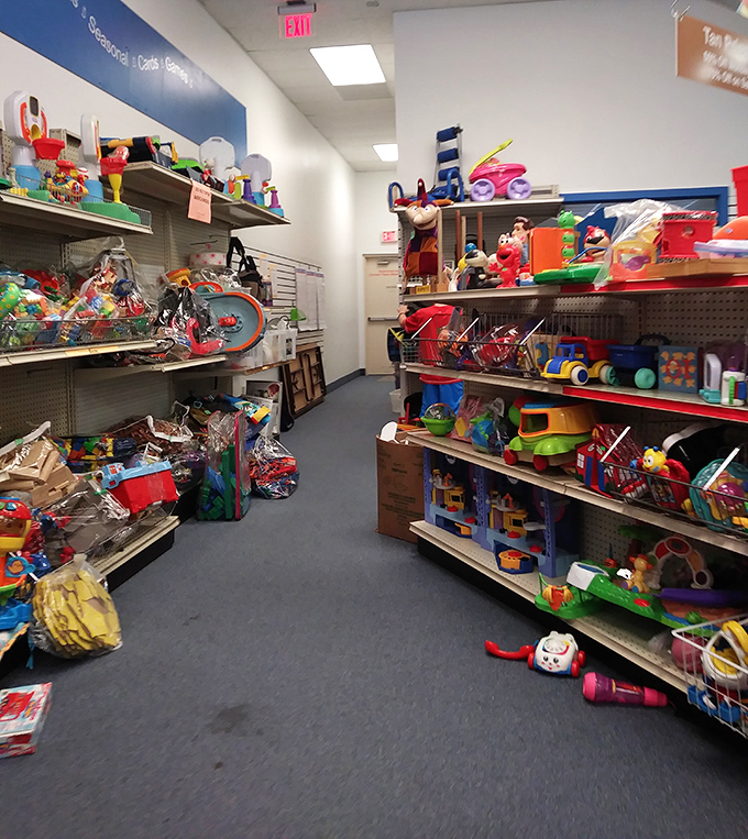 A wonderland of second-chance toys awaits young imaginations, where yesterday's playthings become tomorrow's adventures at pocket-change prices.